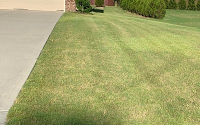 25 Best Landscapers in Worcester, MA | Landscaping from $29 | Best of 2024