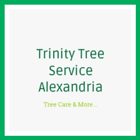 Best Tree Care Service in Oxon Hill, MD | Tree Trimming, Removal & More ...