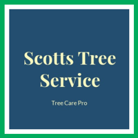 26 Best Tree Care Services in Culpeper, VA | Tree Trimming