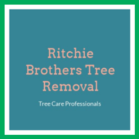 11 Best Tree Care Services in Rochester, MI | Tree Removal