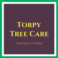 15 Best Tree Care Services in Omaha, NE | Tree Trimming