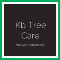 10 Best Tree Care Services in Williamsburg, VA | Tree Trimming