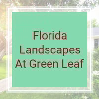 Winter Haven, FL Landscaping from $29 | #1 Landscapers | Best of 2022