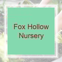 Winter Haven, FL Landscaping from $29 | #1 Landscapers | Best of 2022