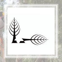 11 Best Tree Care Services in Hugo, MN | Tree Removal