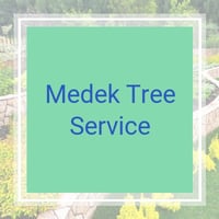 Mechanicsville, VA Landscaping from $29 | #1 Landscapers | Best of 2022