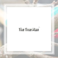 11 Best Tree Care Services in Bowling Green, KY | Tree Removal