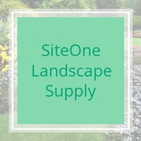 Newport News, VA Landscaping from $29 | #1 Landscapers | Best of 2021