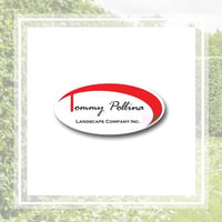 Mount Prospect, IL Landscaping from $29 | #1 Landscapers | Best of 2022