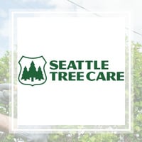 21 Best Tree Care Services in Seattle, WA | Tree Trimming