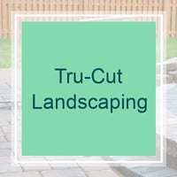 Glenview, IL Landscaping from $29 | #1 Landscapers | Best of 2022