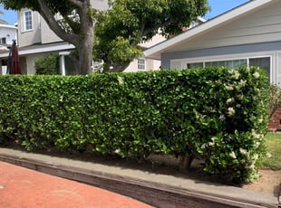 Allentown, PA Lawn Care Service | Lawn Mowing from $19 | Rated Best 2022