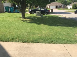 Allentown, PA Lawn Care Service | Lawn Mowing from $19 | Best of 2022