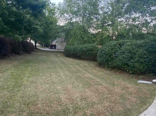 Allentown, PA Lawn Care Service | Lawn Mowing from $19 | Best of 2023