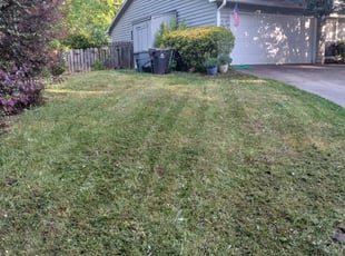 13 Best Landscapers in Augusta, GA | Landscaping from $29 | Best of 2023