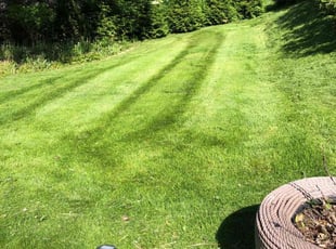 7 Best Landscapers in Morrison, CO | Landscaping from $29 | Best of 2022