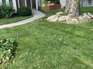 Myrtle Beach, SC Landscaping from $29 | #1 Landscapers | Best of 2021