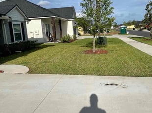 14 Best Landscapers in Oceanside, CA | Landscaping from $29 | Best of 2023