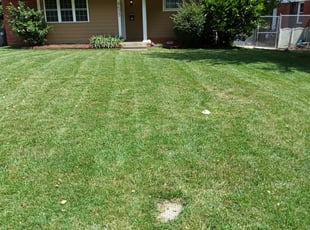 6 Best Landscapers in San Ramon, CA | Landscaping from $29 | Best of 2023