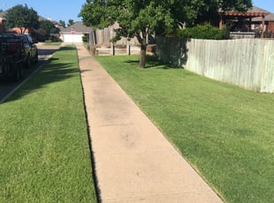 6 Best Landscapers in San Ramon, CA | Landscaping from $29 | Best of 2023