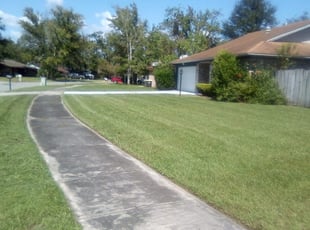 6 Best Landscapers in San Ramon, CA | Landscaping from $29 | Best of 2023