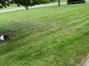 6 Best Landscapers in San Ramon, CA | Landscaping from $29 | Best of 2023