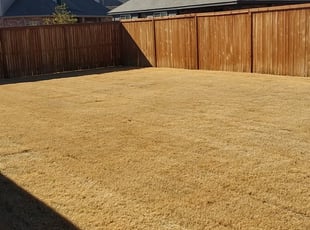 Springfield, MA Landscaping from $29 | #1 Landscapers | Best of 2022