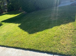 25 Best Landscapers in Springfield, MA | Landscaping from $29 | Best of ...