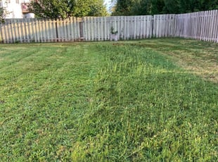 Springfield, MO Lawn Care Service | Lawn Mowing from $19 | Best of 2022