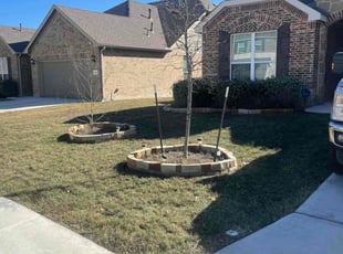 17 Best Landscapers in Tyler, TX | Landscaping from $29 | Best of 2022