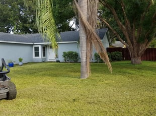 Tyler, TX Landscaping from $29 | #1 Landscapers | Best of 2022