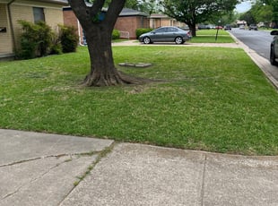 York, PA Landscaping from $29 | #1 Landscapers | Best of 2022