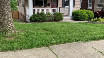 Huntsville, AL Lawn Care Service | Lawn Mowing from $19 | Best of 2023