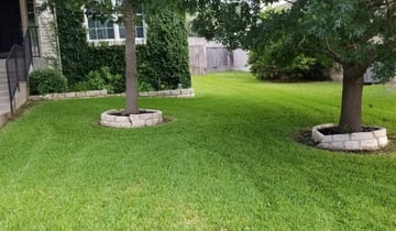 Anderson SC Lawn Care & Mowing Services - From $19