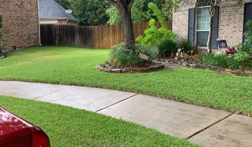 13 Best Landscapers in Augusta, GA | Landscaping from $29 | Best of 2023