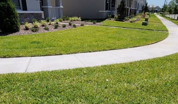 Baton Rouge, LA Landscaping from $29 | #1 Landscapers | Best of 2021