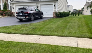 25 Best Landscapers in Buffalo, NY | Landscaping from $29 | Best of 2023