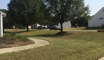 Chicago, IL Landscaping from $29 | #1 Landscapers | Best of 2021