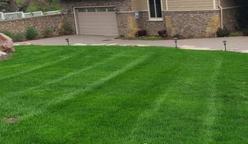 25 Best Landscapers in Chicago, IL | Landscaping from $29 | Best of 2023