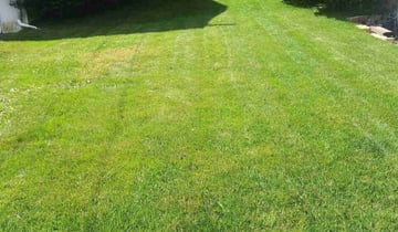 25 Best Landscapers in Chicago, IL | Landscaping from $29 | Best of 2023