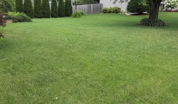 25 Best Landscapers in Jackson, MS | Landscaping from $29 | Best of 2023