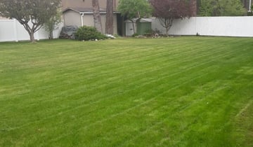 Jackson, MS Landscaping from $29 | #1 Landscapers | Best of 2022