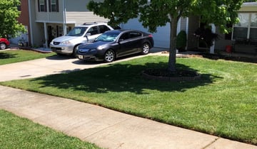 Leander TX Lawn Care & Mowing Services - From $19