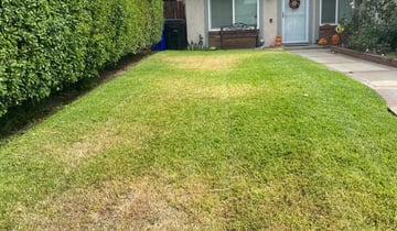 24 Best Landscapers in Lubbock, TX | Landscaping from $29 | Best of 2023