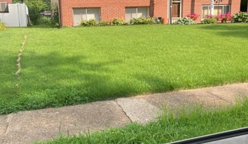 25 Best Landscapers in Milwaukee, WI | Landscaping from $29 | Best of 2023