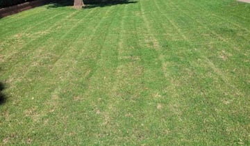 13 Best Landscapers in Princeton, NJ | Landscaping from $29 | Best of 2023