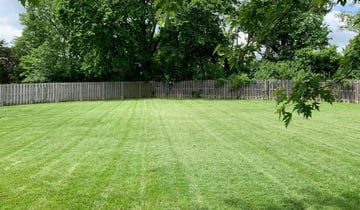 Santa Ana, CA Landscaping from $29 | #1 Landscapers | Best of 2021