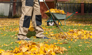 Book the Best Leaf Removal Service Near You