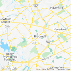 11 Best Tree Care Services in Broomall, PA | Tree Removal