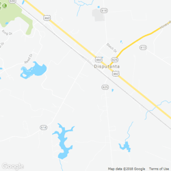 11 Best Tree Care Services in Disputanta, VA | Tree Removal